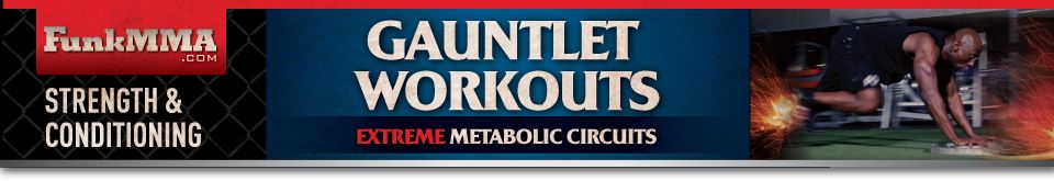Welcome to the Gauntlet Workouts Download Page